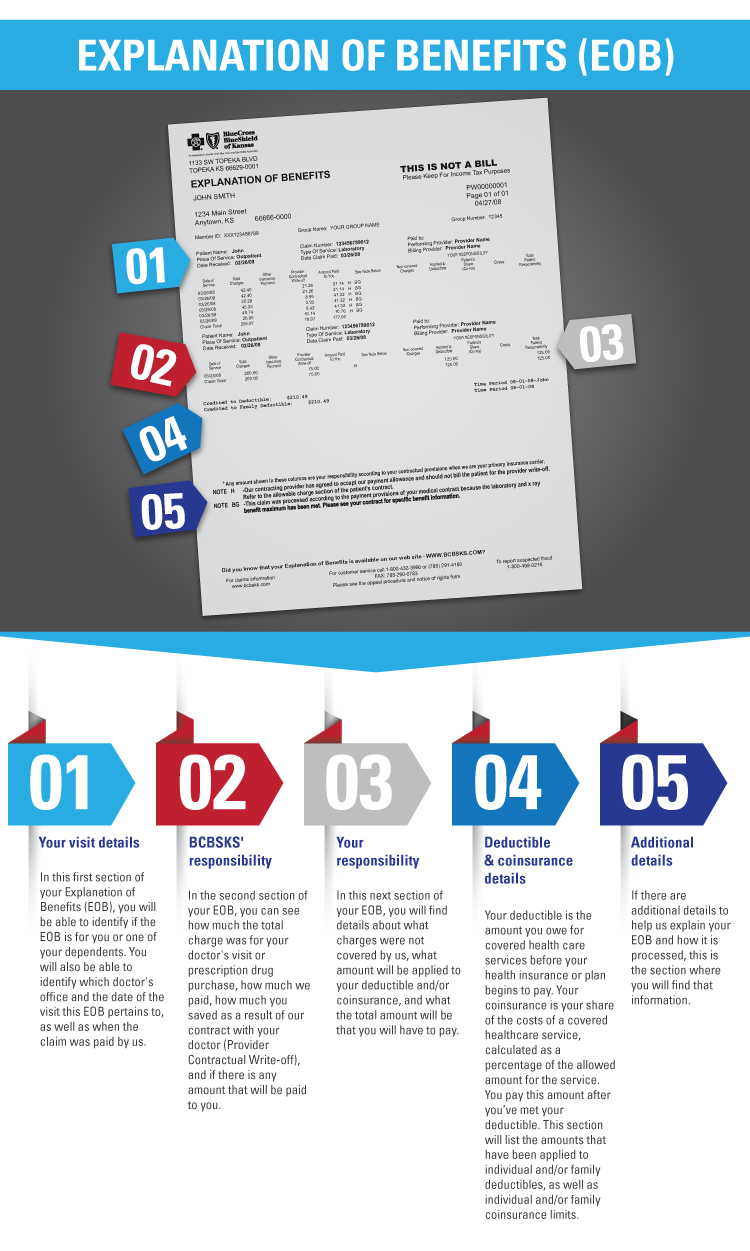 {Infographic} What’s on my Explanation of Benefits (EOB)? » You + Blue