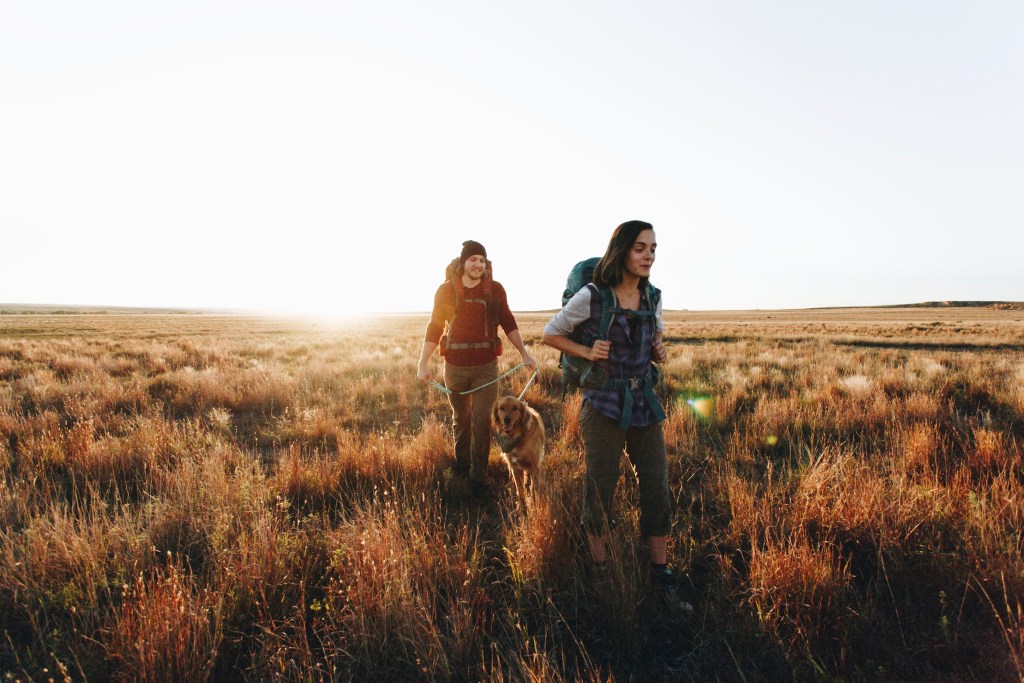 BlueCard®: Access to care wherever you live, work or travel » You + Blue