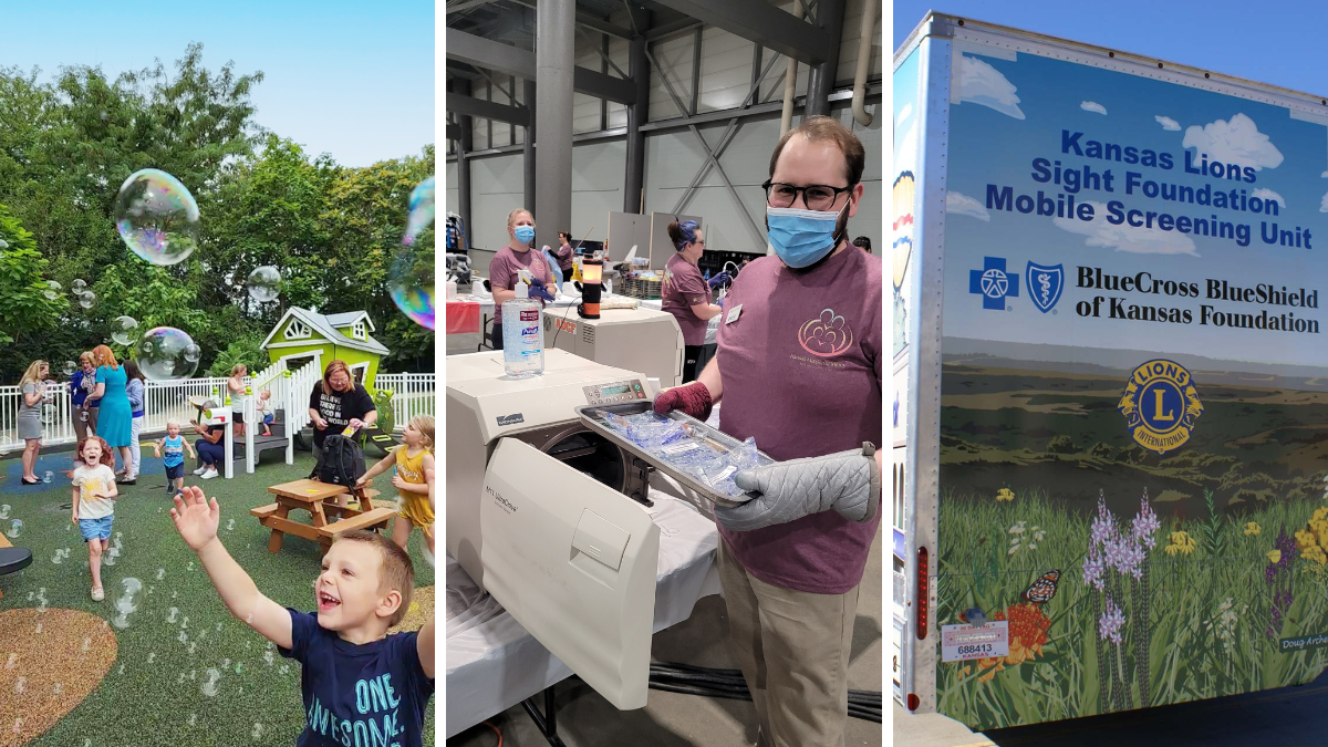 Investing in Kansas: Celebrating 20 Years of the BCBSKS Foundation ...